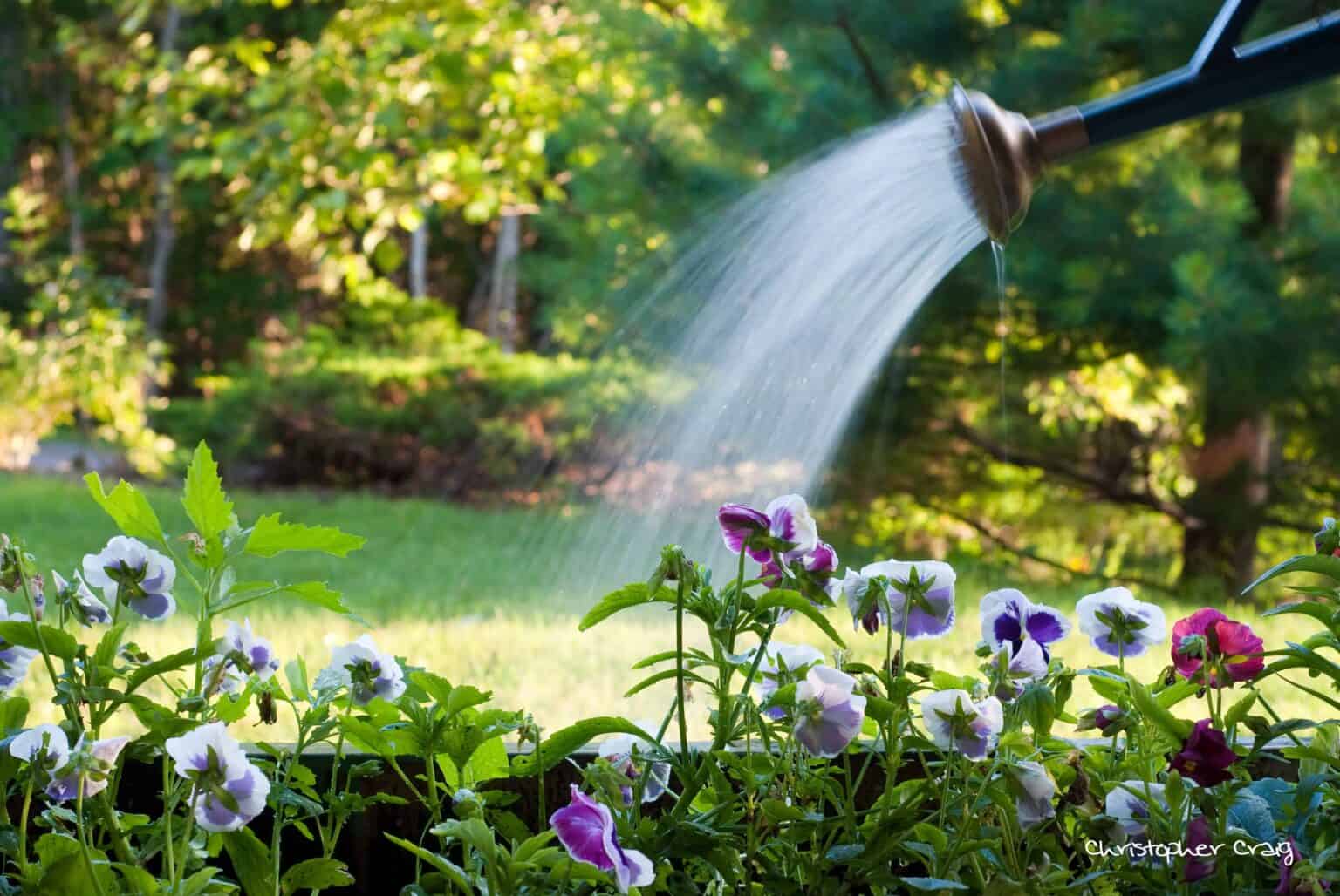 Garden Care Maintenance Methods 1001 Gardens garden-care-maintenance-methods-1001-gardens