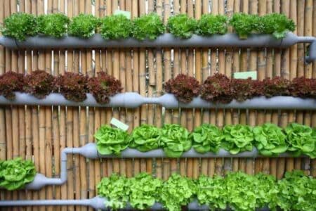 20 Easy DIY Gutter Garden Ideas • Garden Decor • 1001 Gardens