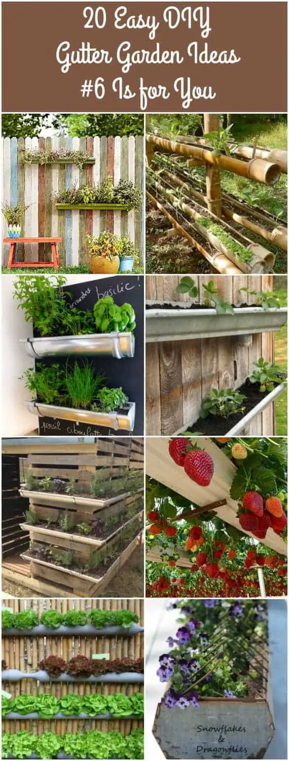 20 Easy DIY Gutter Garden Ideas • Garden Decor • 1001 Gardens