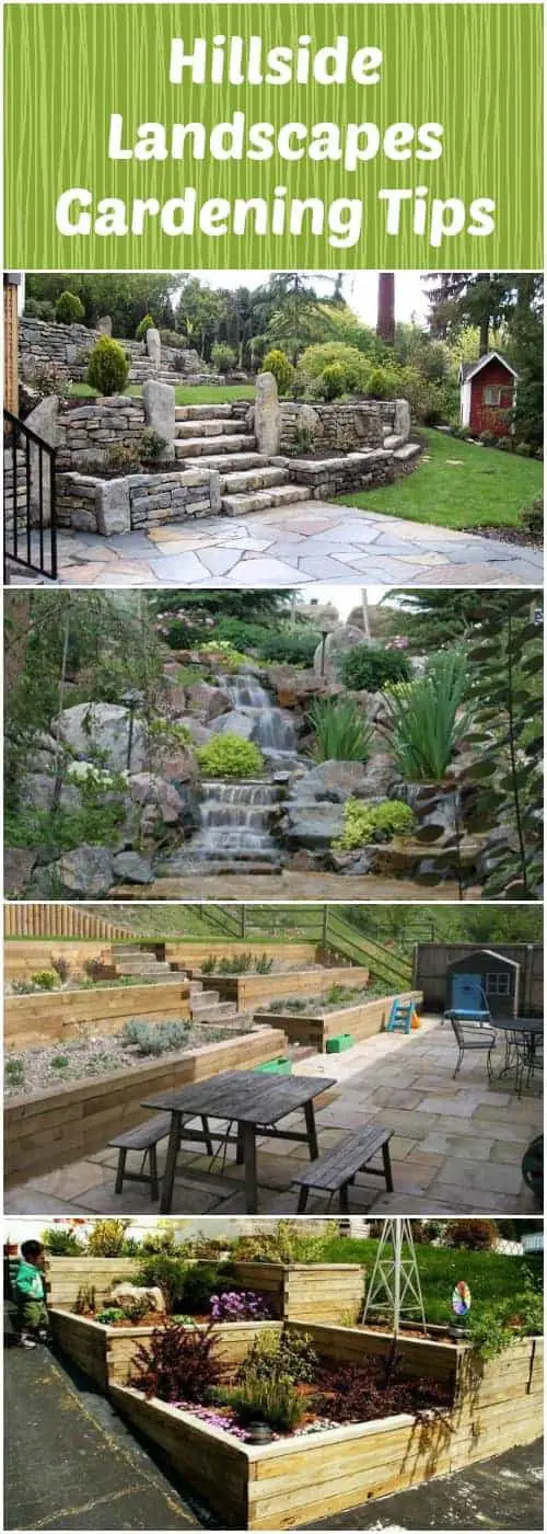 10 Hillside Landscaping Tips & Ideas - 1001 Gardens