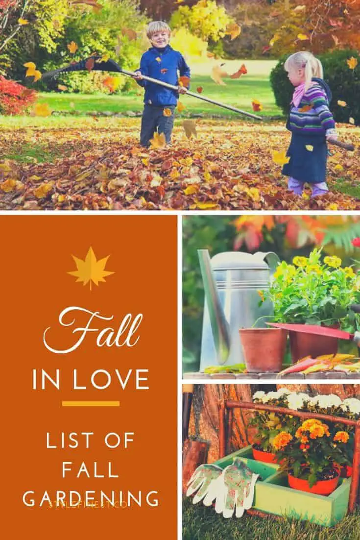 List of Fall Gardening - 1001 Gardens