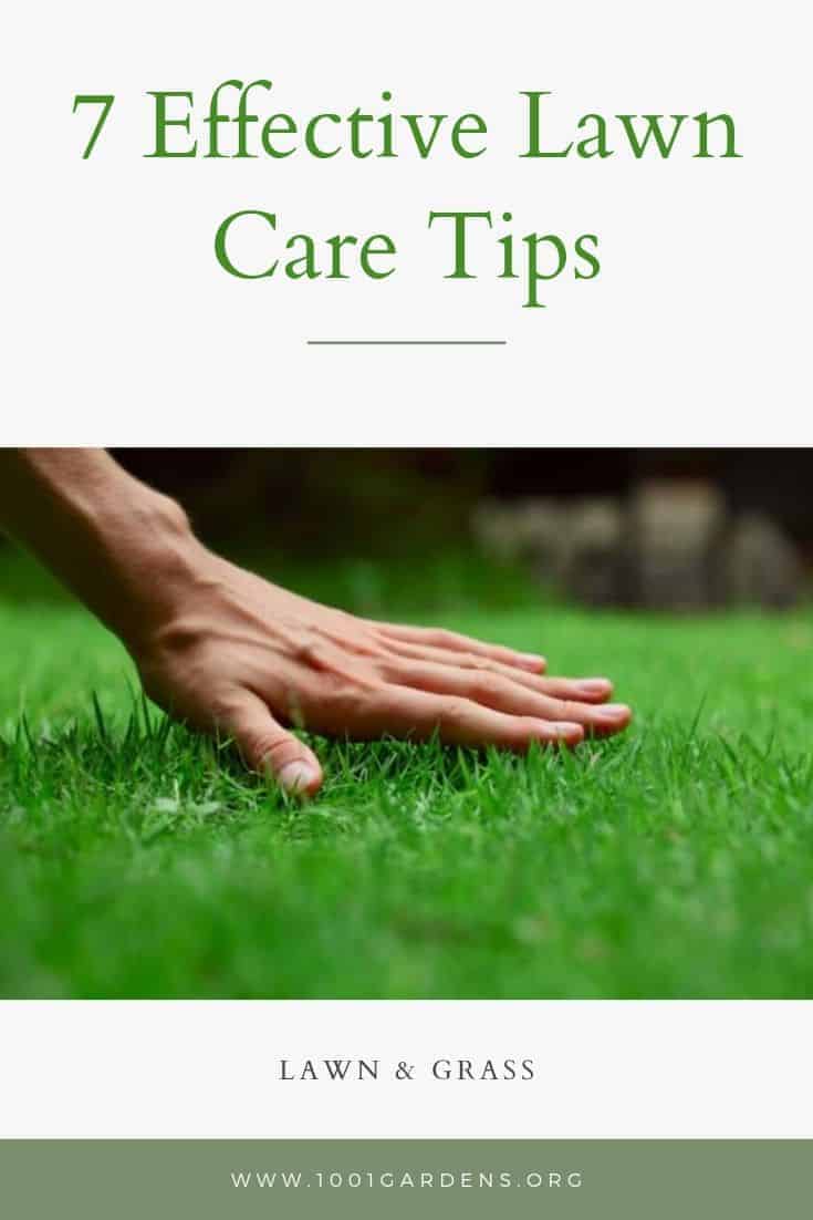 7 Effective Lawn Care Tips - 1001 Gardens