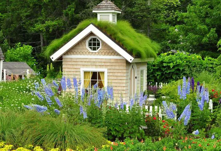 Best Livable Sheds Ideas - 1001 Gardens