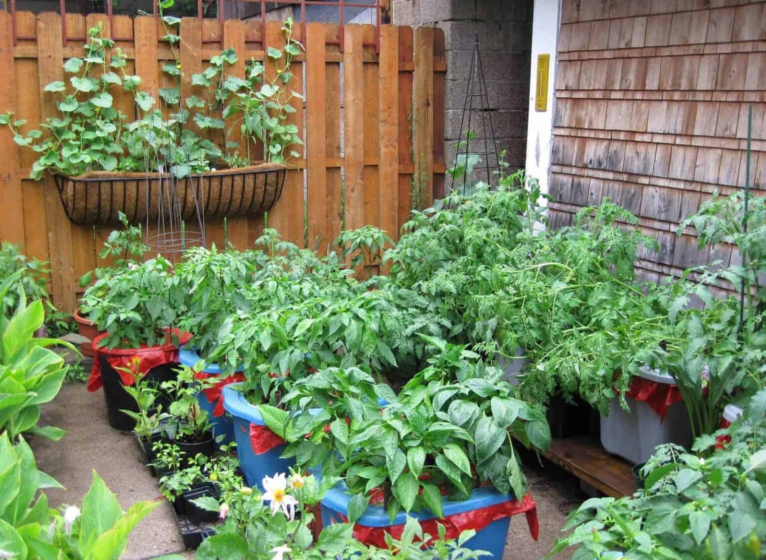 Gardening Without A Garden: 10 Ideas For Your Patio Or Balcony - 1001 ...