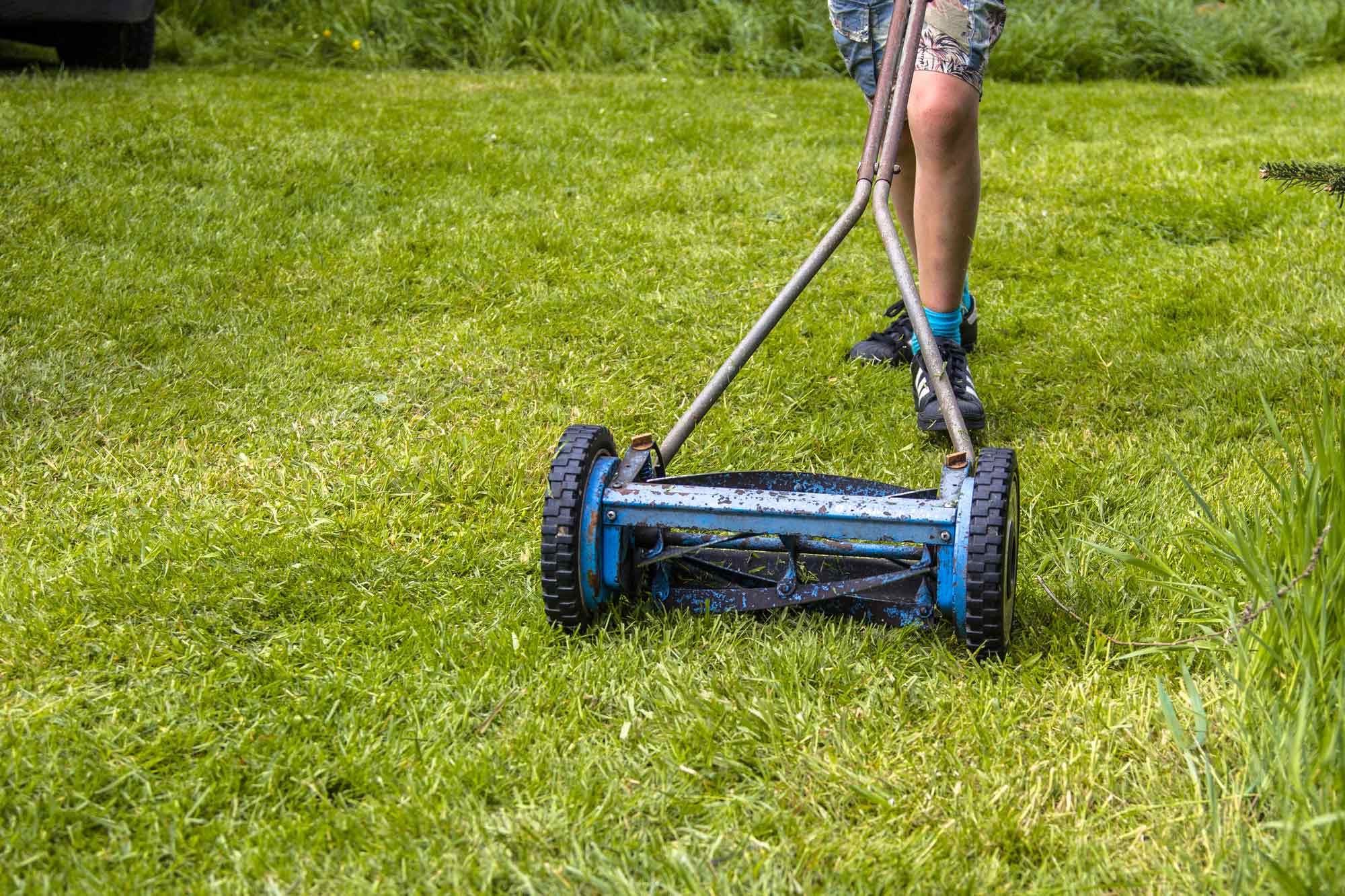 What Are The Different Types of Lawn Mowers? - 1001 Gardens