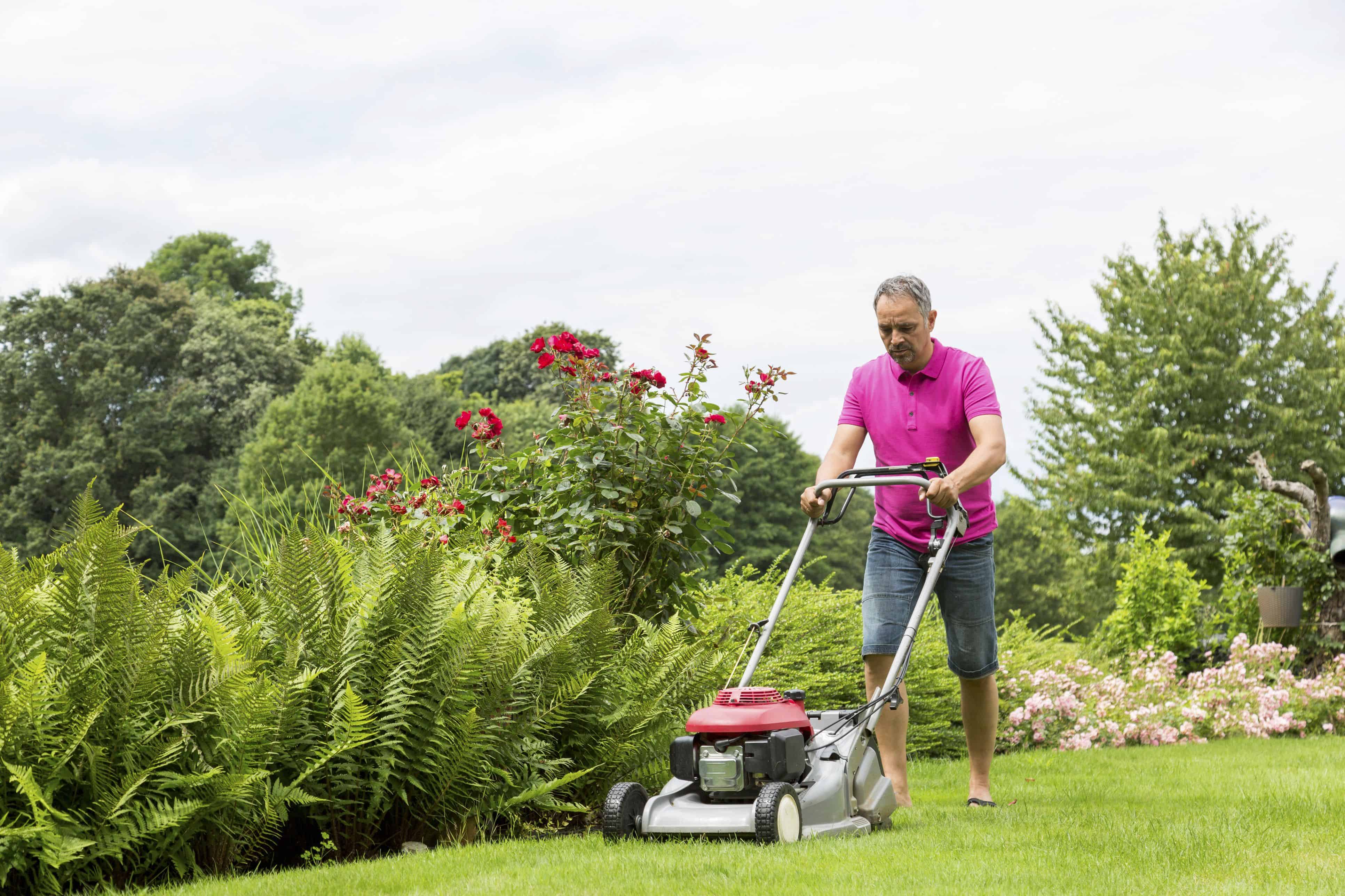 What Are The Different Types of Lawn Mowers? - 1001 Gardens