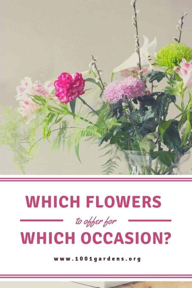 Which flowers to offer for which occasion? - 1001 Gardens