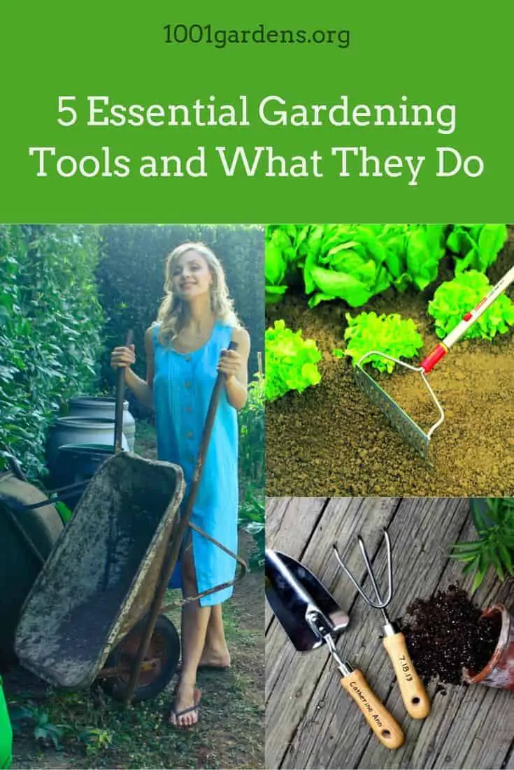 5 Essential Gardening Tools and What They Do - 1001 Gardens