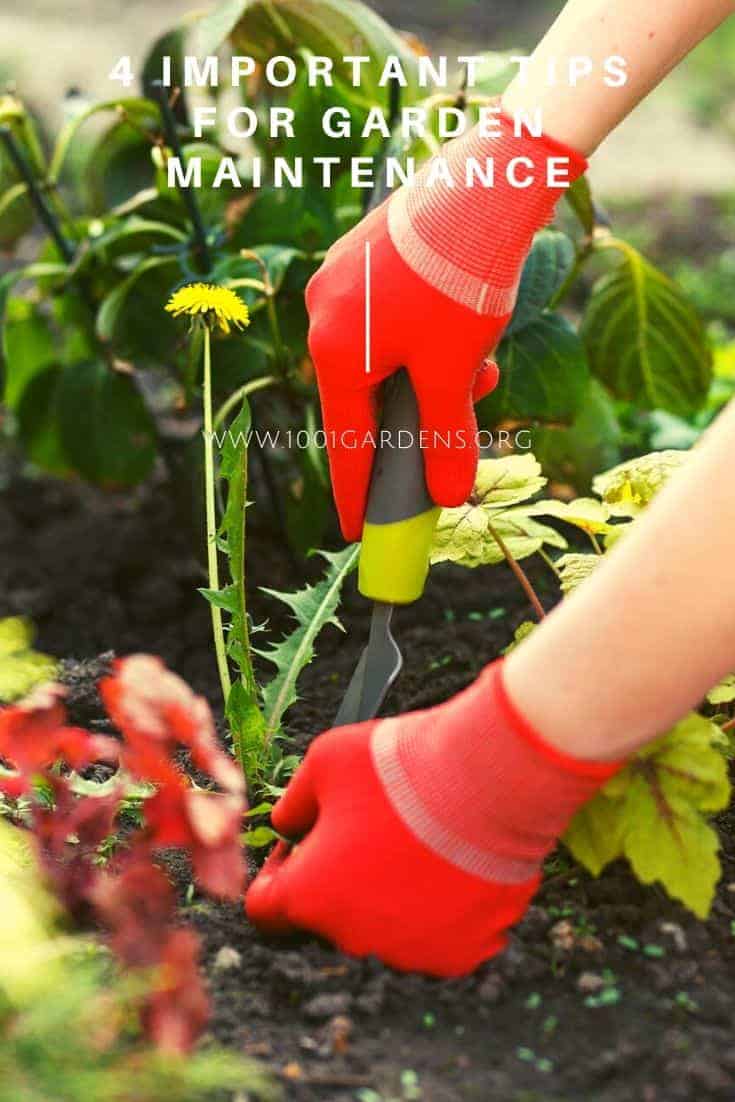 4 Important Tips For Garden Maintenance - 1001 Gardens