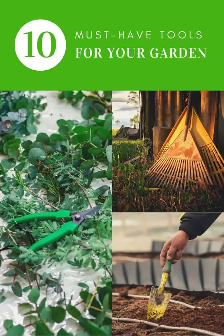 10 Must-have tools for your garden - 1001 Gardens