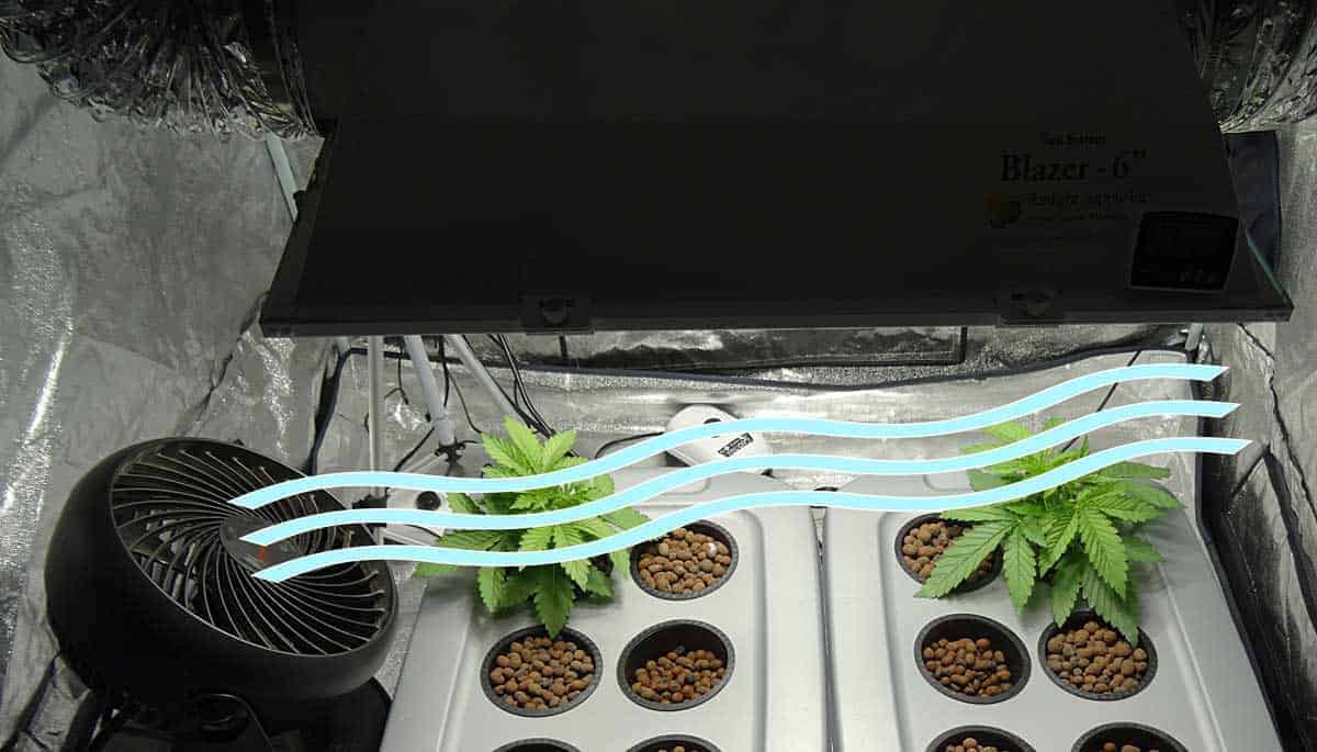 The Grow Tent Set-Up and Why You Should Use a Fan - 1001 Gardens